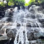 Ubud Monkey Forest, Rice Terrace, and Swing Private Tour - The Practicalities