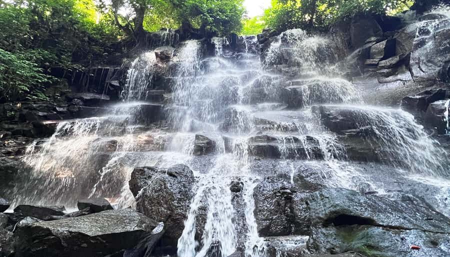 Ubud Monkey Forest, Rice Terrace, and Swing Private Tour - The Practicalities
