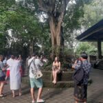 Ubud: Monkey Forest, Rice Terrace, and Waterfall - Detailed Breakdown of the Itinerary