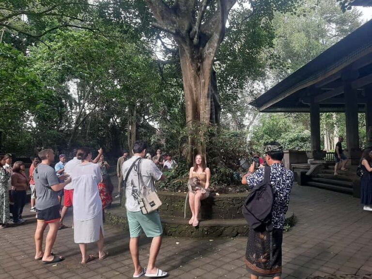 Ubud: Monkey Forest, Rice Terrace, and Waterfall - Detailed Breakdown of the Itinerary