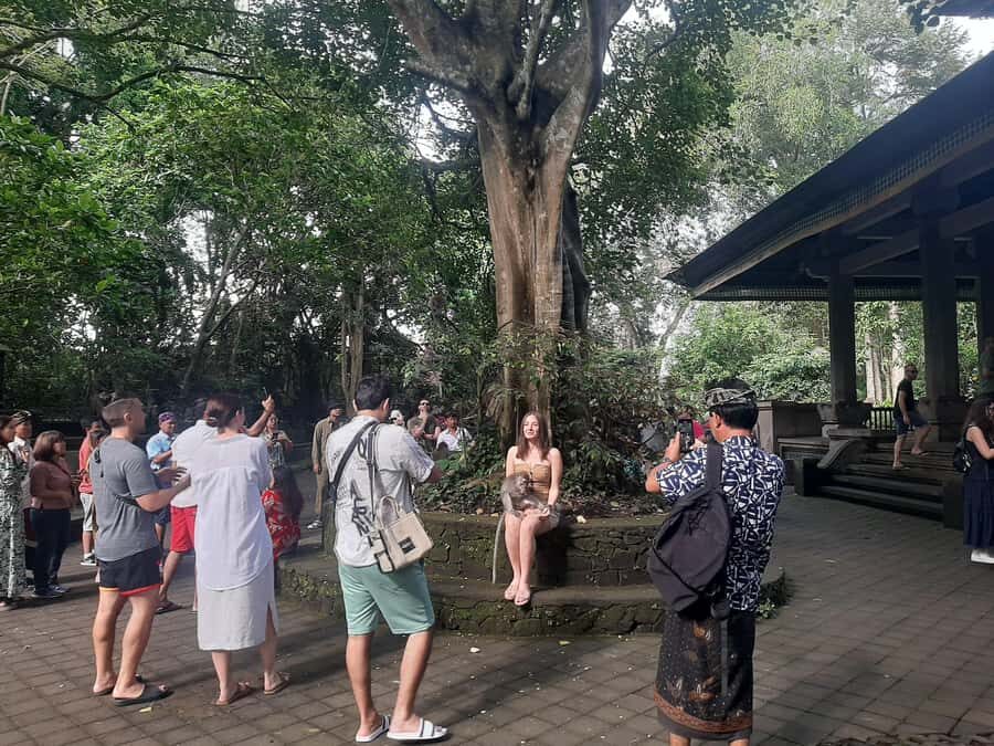 Ubud: Monkey Forest, Rice Terrace, and Waterfall - Detailed Breakdown of the Itinerary