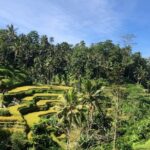 Ubud : Monkey Forest, Rice Terrace, Waterfall, Swing - Who Should Consider This Tour?