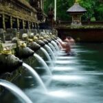 Ubud: Monkey Forest, Rice Terraces, and Waterfall Tour - Practical Details and Tips for Travelers