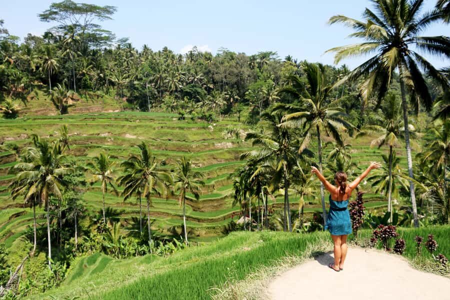 Ubud: Monkey Forest, Rice Terraces & Art Craft Village Tour - The Craft Villages and Artistic Heritage