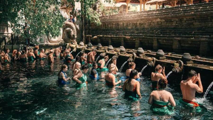 Ubud: Monkey Forest, Rice Terraces, Temple&Petanu Waterfall - What Makes This Tour Stand Out?