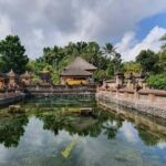 Ubud, Monkey forest, Riceterace Waterfall, Purification - Practicalities and Value