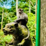 Ubud: Monkey Forest Tour - Macaques, Temples & Bridges - Who Is This Tour Perfect For?