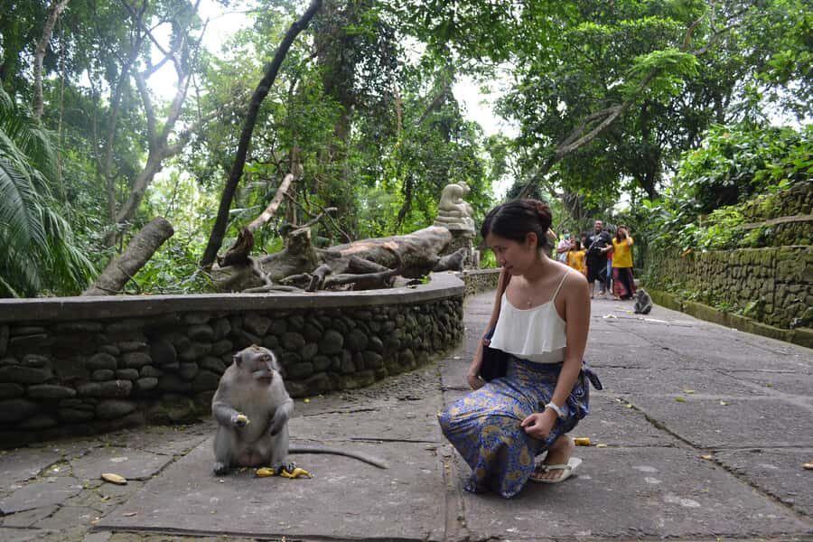 Ubud: Monkey Forest, Waterfall, and Rice Terrace Tour - A Detailed Look at the Ubud: Monkey Forest, Waterfall, and Rice Terrace Tour