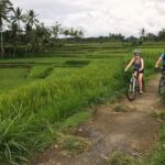 Ubud: Old Spiritual Village & Countryside Life Cycling Tour - The Itinerary in Detail