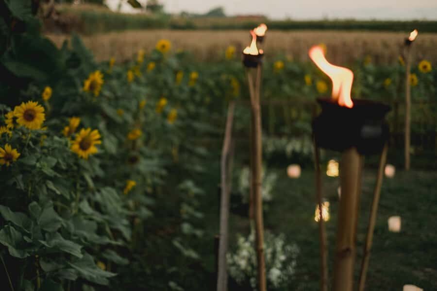 Ubud: Omakase at The Tempayan - Who Should Consider This Experience?