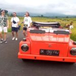 Ubud on the Road: VW Safari Tour Across Local Life of Ubud - Who Should Consider This Tour?