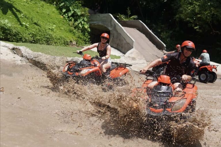 Ubud: Premium ATV Adventure Through Rice Terraces - The Sum Up: Who Should Consider This Tour?