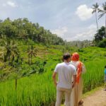 Ubud: Private Charter Car 10hours. - Comfort and Convenience: Stress-Free Transportation