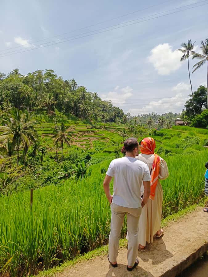 Ubud: Private Charter Car 10hours. - Comfort and Convenience: Stress-Free Transportation