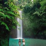 Ubud: Private Scenic Waterfalls and Rice Terraces Tour - What You Can Expect: A Detailed Breakdown
