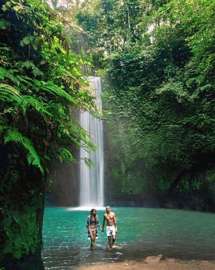 Ubud: Private Scenic Waterfalls and Rice Terraces Tour - What You Can Expect: A Detailed Breakdown