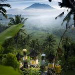 Ubud: Private Tour of Temples, Waterfalls & Rice Terraces - Who Will Enjoy This Tour Most?