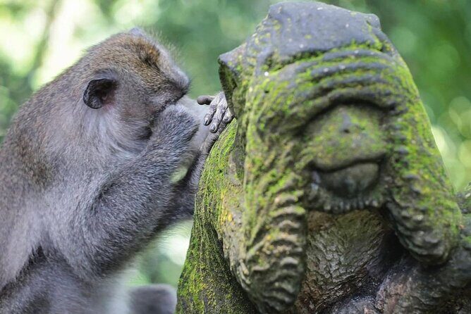 Ubud Private Tour Sightseeing and Waterfall - What’s Included and What’s Not