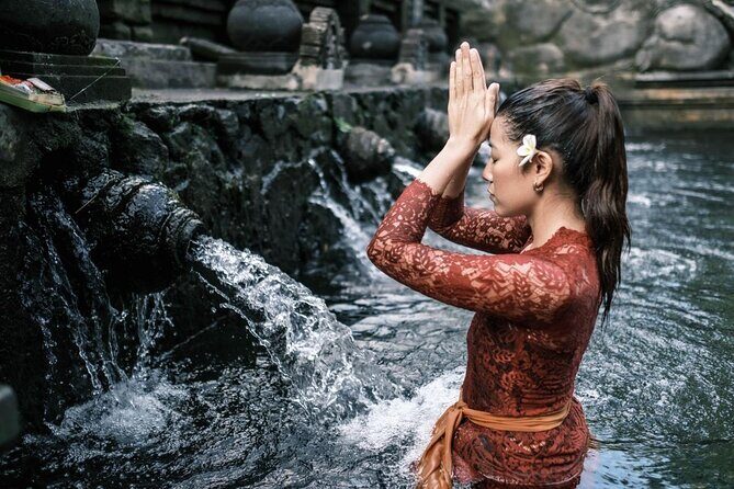 Ubud Private Tour - Waterfalls, Water Temple & Rice Terraces - Who Will Enjoy This Tour?