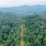 Ubud: Real Hidden Jungle ATV Quad Bike Tour - Final Thoughts: Is This Tour Right for You?