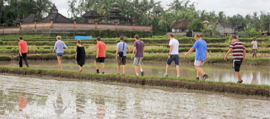 Ubud: Rice Field Trekking Tour with Guide and Drink - Value and Considerations