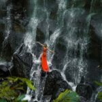 Ubud: Rice Terrace, Holy Water Temple & Waterfalls Trek Tour - What Makes This Tour Stand Out