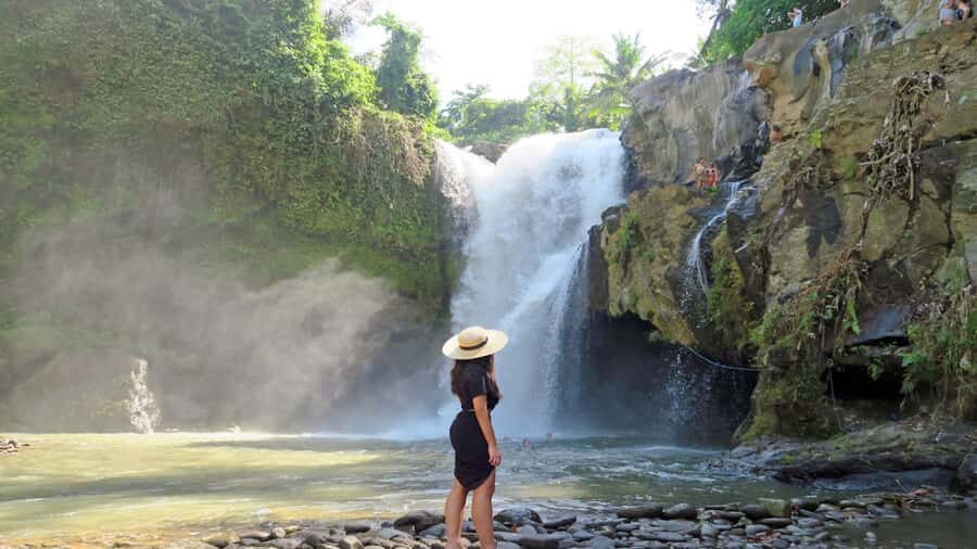 Ubud: Rice Terrace, Waterfall, & Elephant Cave - The Experience and Guides: What Sets It Apart