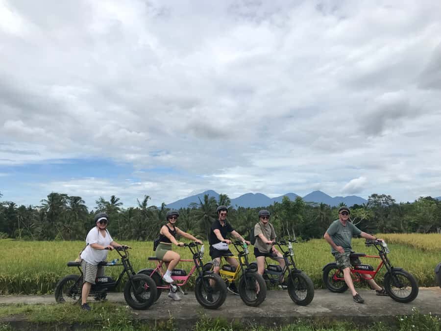 Ubud: Rice Terraces & Villages Half-Day Fat Tire E-Bike Tour - Why This Tour Stands Out