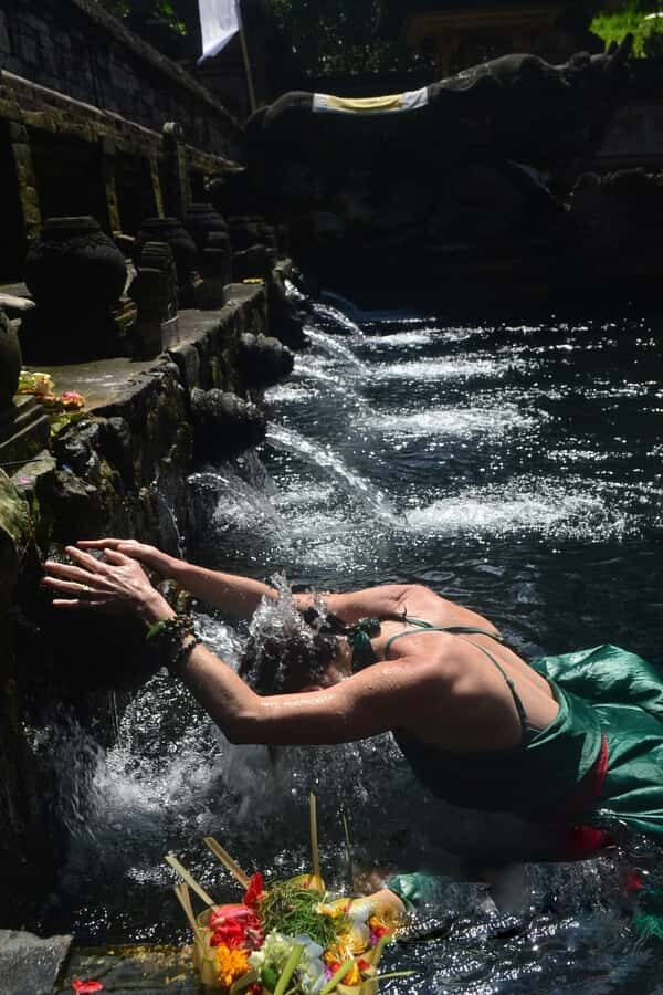 Ubud: Rice Terraces, Water Temple, & Waterfalls Private Tour - Who Would Love This Tour?