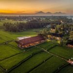 Ubud: Romantic Dinner among the Rice Fields - Who Would This Experience Suit?