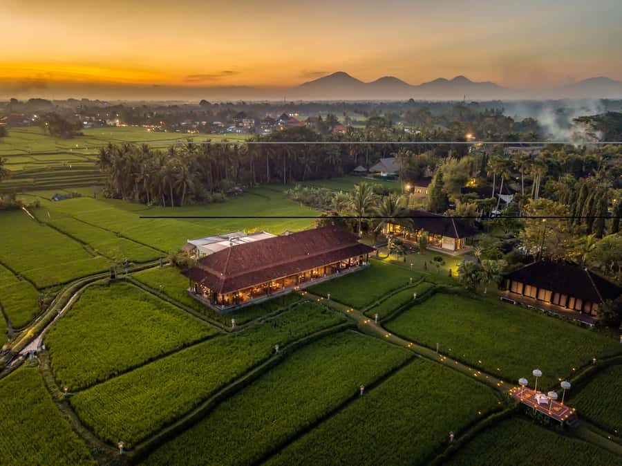 Ubud: Romantic Dinner among the Rice Fields - Who Would This Experience Suit?