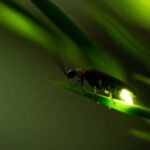 Ubud: Silver Making Class and Fireflies Evening Tour - The Silver Making Class: Crafting with Purpose