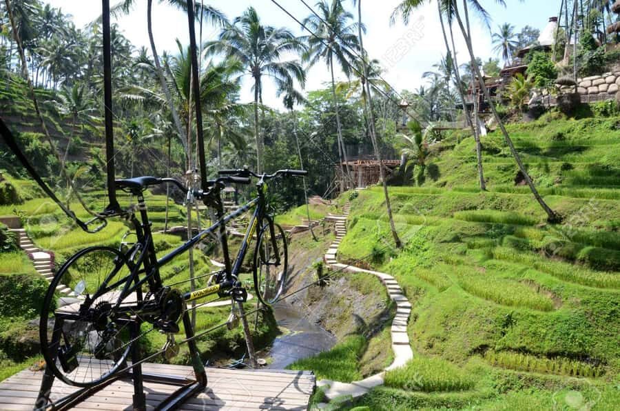 Ubud: Sky Bike Adventure, Swing & Rice Terrace with Transfer - What to Expect During the Tour