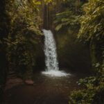 Ubud: Telaga Waja Temple, Waterfalls- Mancingan Rice Terrace - Detailed Itinerary and What You Can Expect