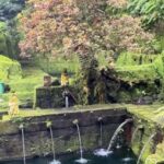 Ubud-Tgll: Telaga Waja Kenderan and Manuaba Waterfall Tour - What to Expect: Details and Tips