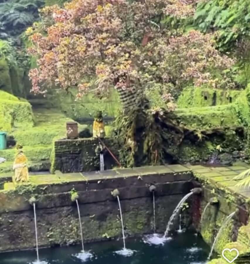 Ubud-Tgll: Telaga Waja Kenderan and Manuaba Waterfall Tour - What to Expect: Details and Tips