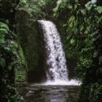 Ubud: Tirta Empul Temple, Rice Terraces, and Waterfall Tour - Who This Tour Is Best For