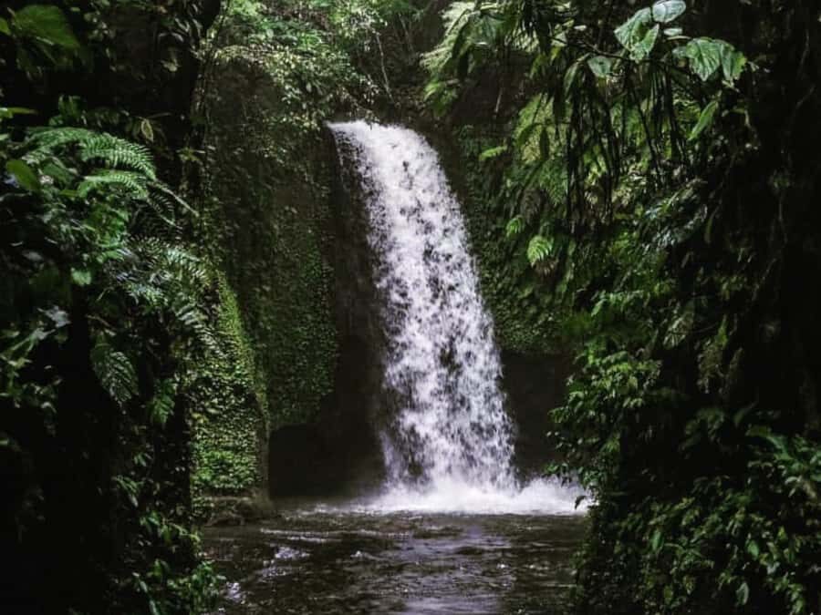 Ubud: Tirta Empul Temple, Rice Terraces, and Waterfall Tour - Who This Tour Is Best For