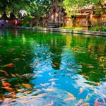 Ubud Tour : Explore the best places in Ubud Area. - Why This Tour Is a Great Choice