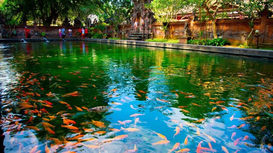 Ubud Tour : Explore the best places in Ubud Area. - Why This Tour Is a Great Choice