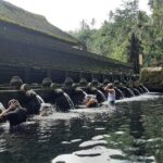 Ubud Tour - Highlights of Ubud - Practical Aspects and Value