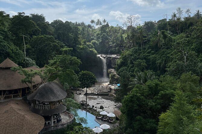 Ubud Tour Sacred Temple Waterfall Rice Terrace and Art Village - Final Thoughts: Who Is This Tour For?