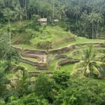 Ubud Tour : Ubud Higlight Culture,Tradition and Nature - How the Day Unfolds