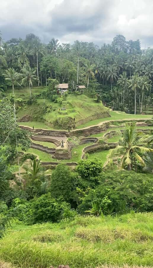 Ubud Tour : Ubud Higlight Culture,Tradition and Nature - How the Day Unfolds
