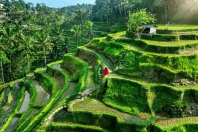 Ubud Tour: Waterfall, Sacred Temple, Rice Terrace, Monkey Forest - Additional Experiences and Practicalities