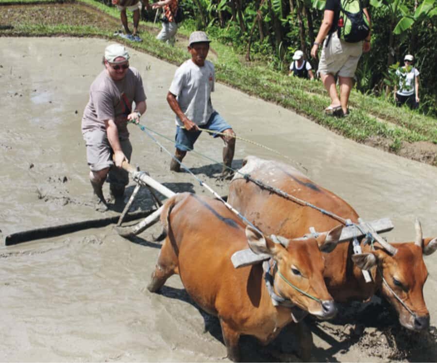 Ubud: Traditional Rice Farming Experience - Who Will Love This Tour?