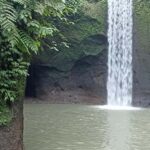 ubud trip monkey forest sanctuary - Practical Details and What to Expect