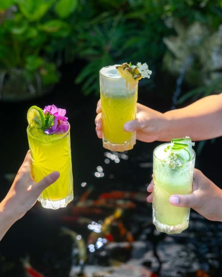 Ubud: Tropical Oasis Pool Bar Access & Dining E-Voucher - The Real Value of This Experience