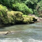 Ubud: Uma Anyar Waterfall, Goa Gajah Temple & Rice Terrace - Starting Off: Convenience and Comfort