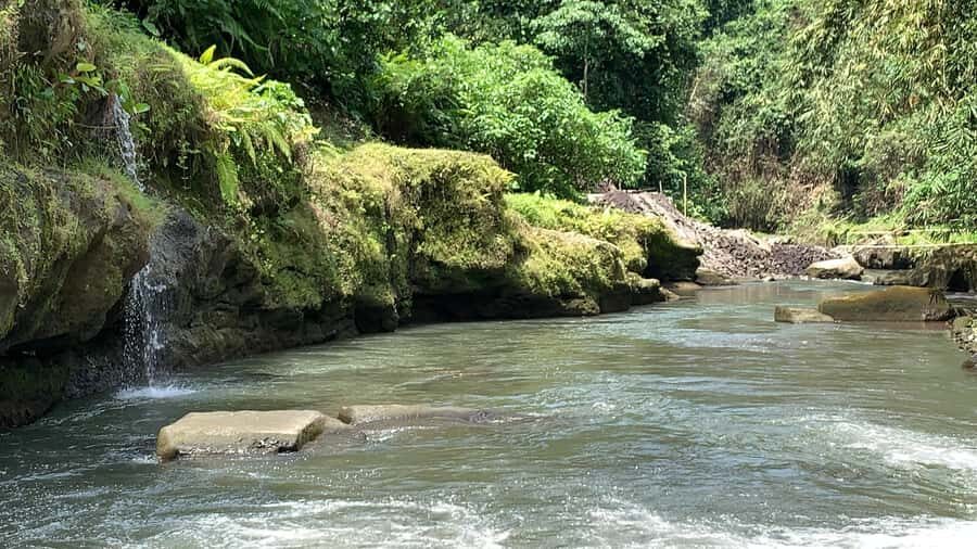 Ubud: Uma Anyar Waterfall, Goa Gajah Temple & Rice Terrace - Starting Off: Convenience and Comfort